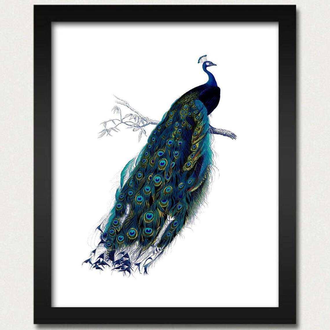 Gorgeous Peacock Wall Hanging Poster - Vintage Peacock on Branch Print ...