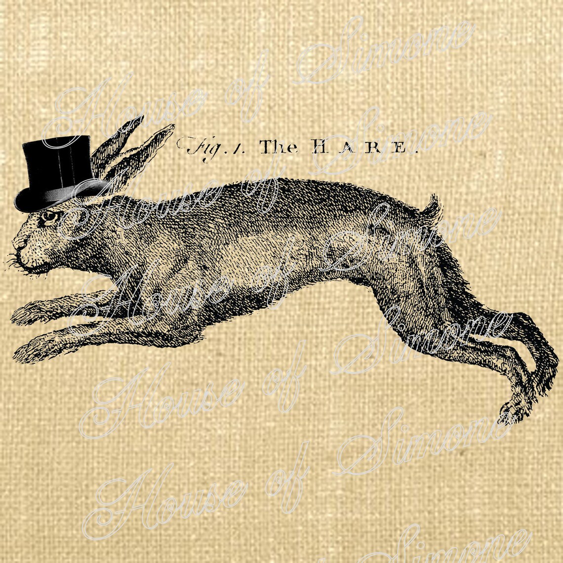 Rabbit Hare Top Hat Vintage Download Graphic Image Art - Etsy