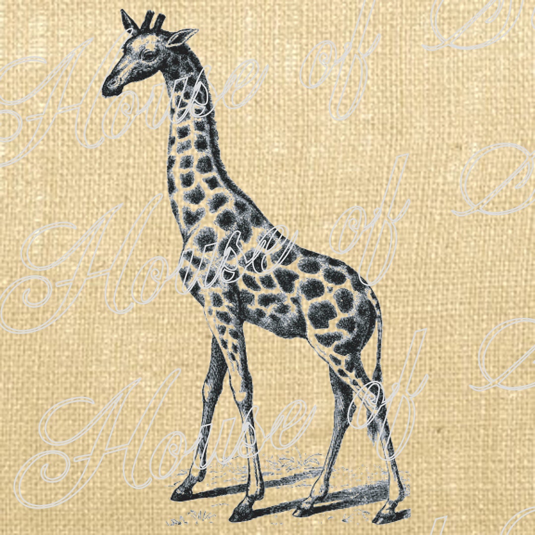 Giraffe Safari Animal Antique Vintage Download Graphic Image Art ...