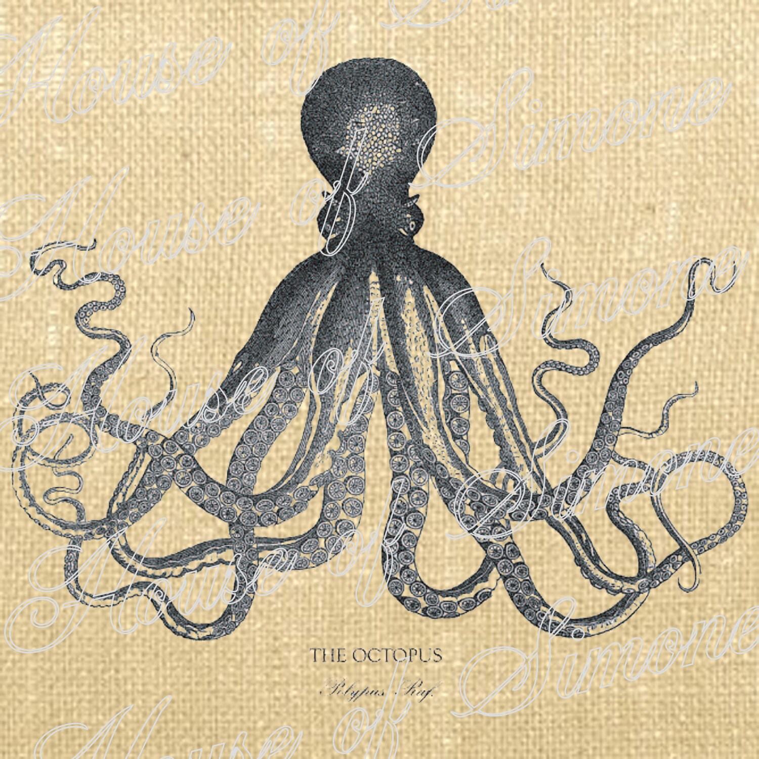 Octopus Ocean Sea Antique Vintage Download Graphic Image Art Transfer ...