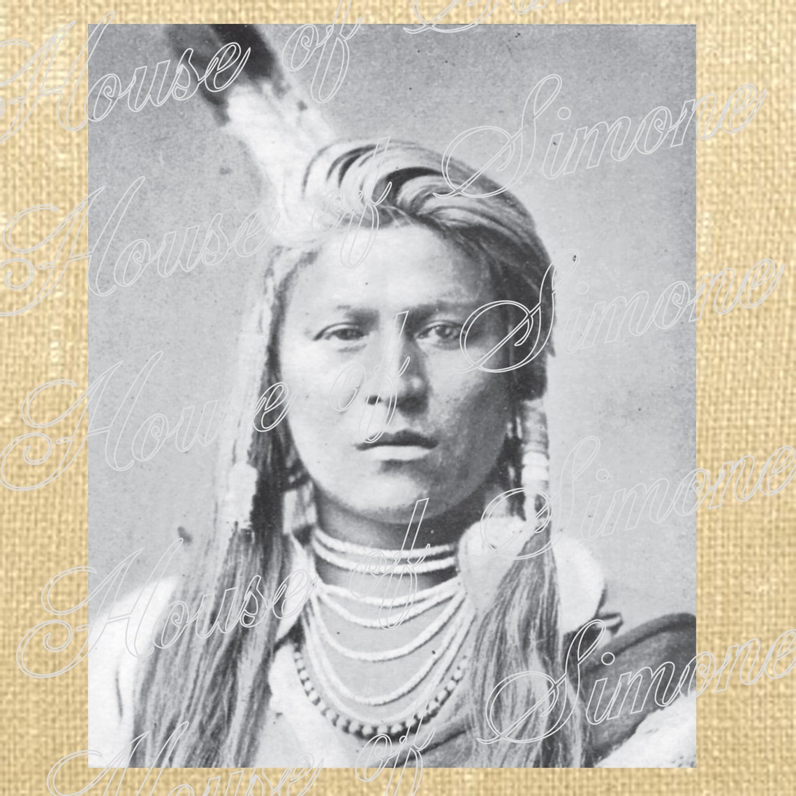 Indian Woman Lady Feather Tribe Native American Cowboy Download Graphic ...