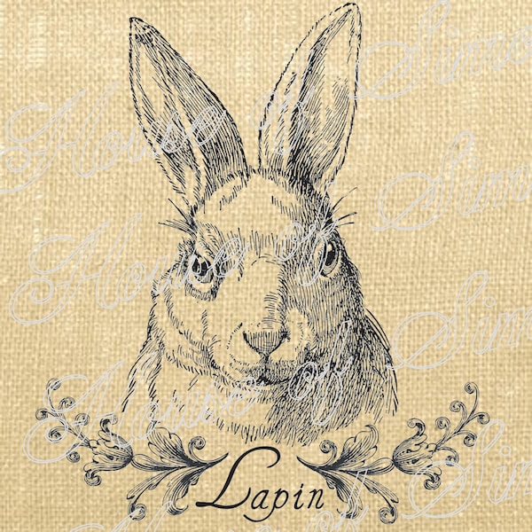 French Rabbit Image - Etsy