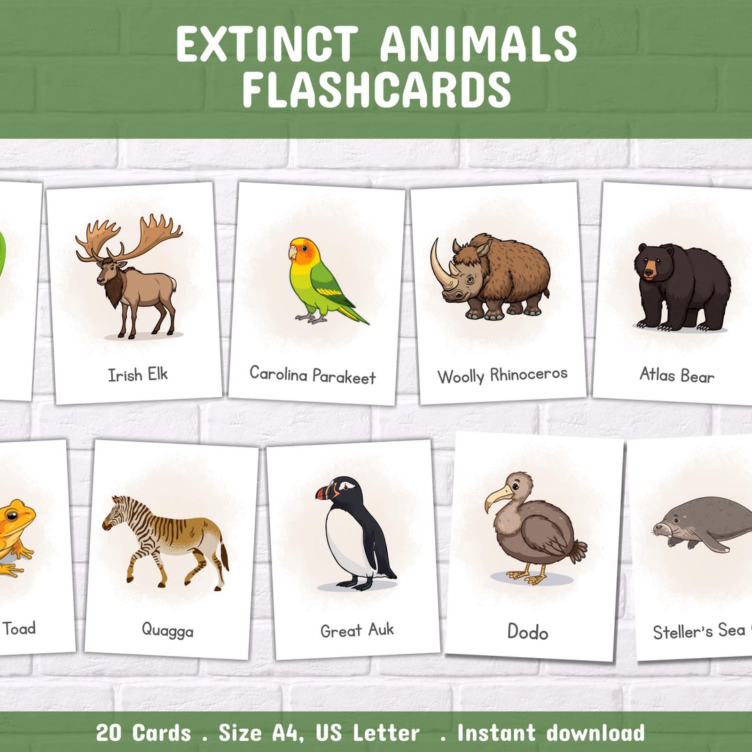 Extinct Animal Flash Cards, Dodo and Mammoth, Jurassic Park Style ...