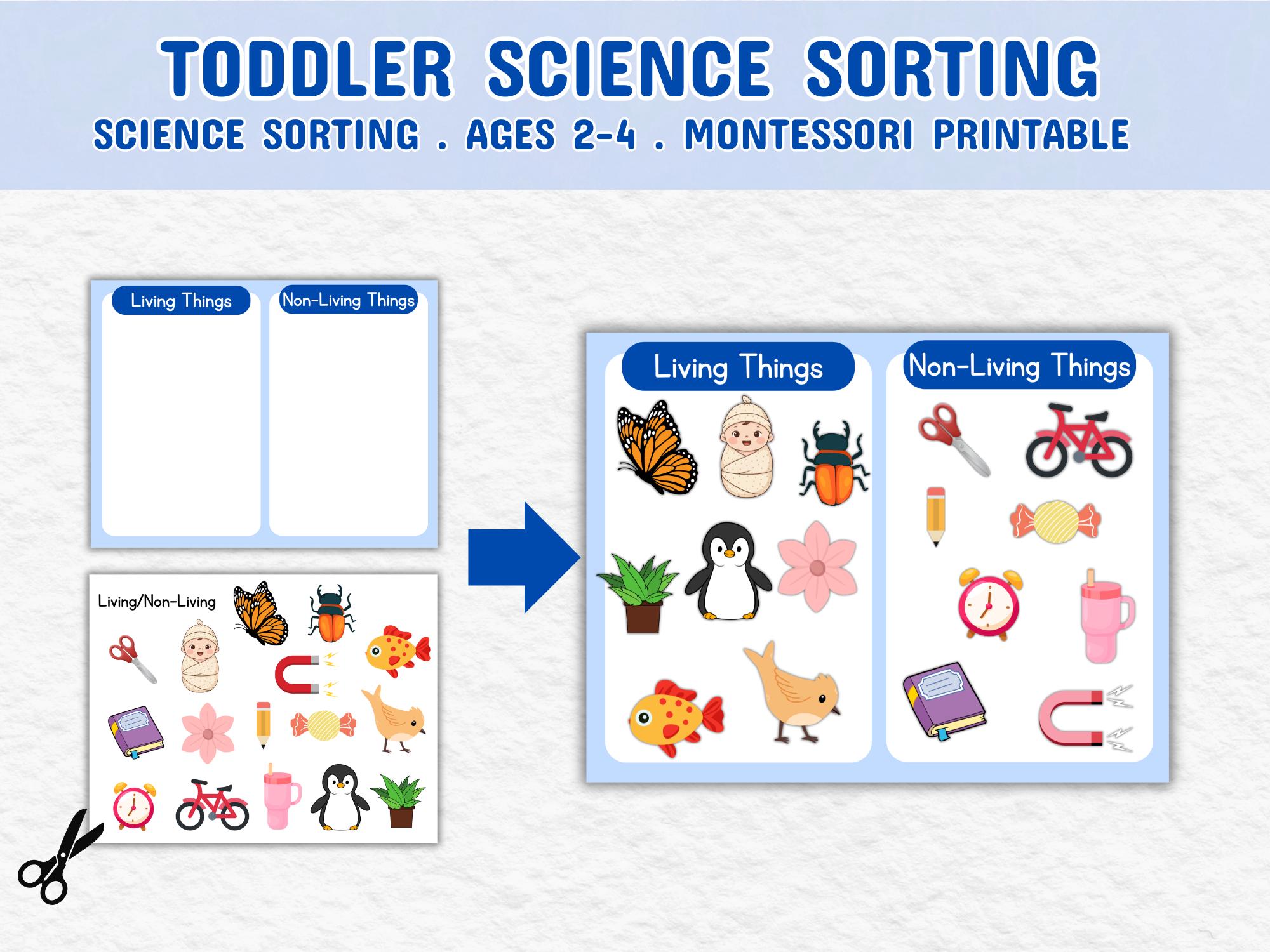 Toddlers Science Sorting Pack Printable, STEM Preschool Science Kit ...
