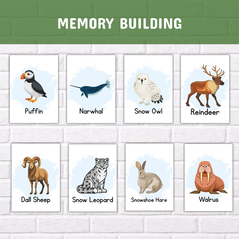 Polar Animals Flashcards for Kids, Printable Arctic Montessori Cards ...