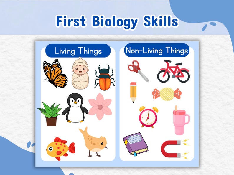 Toddlers Science Sorting Pack Printable, STEM Preschool Science Kit ...