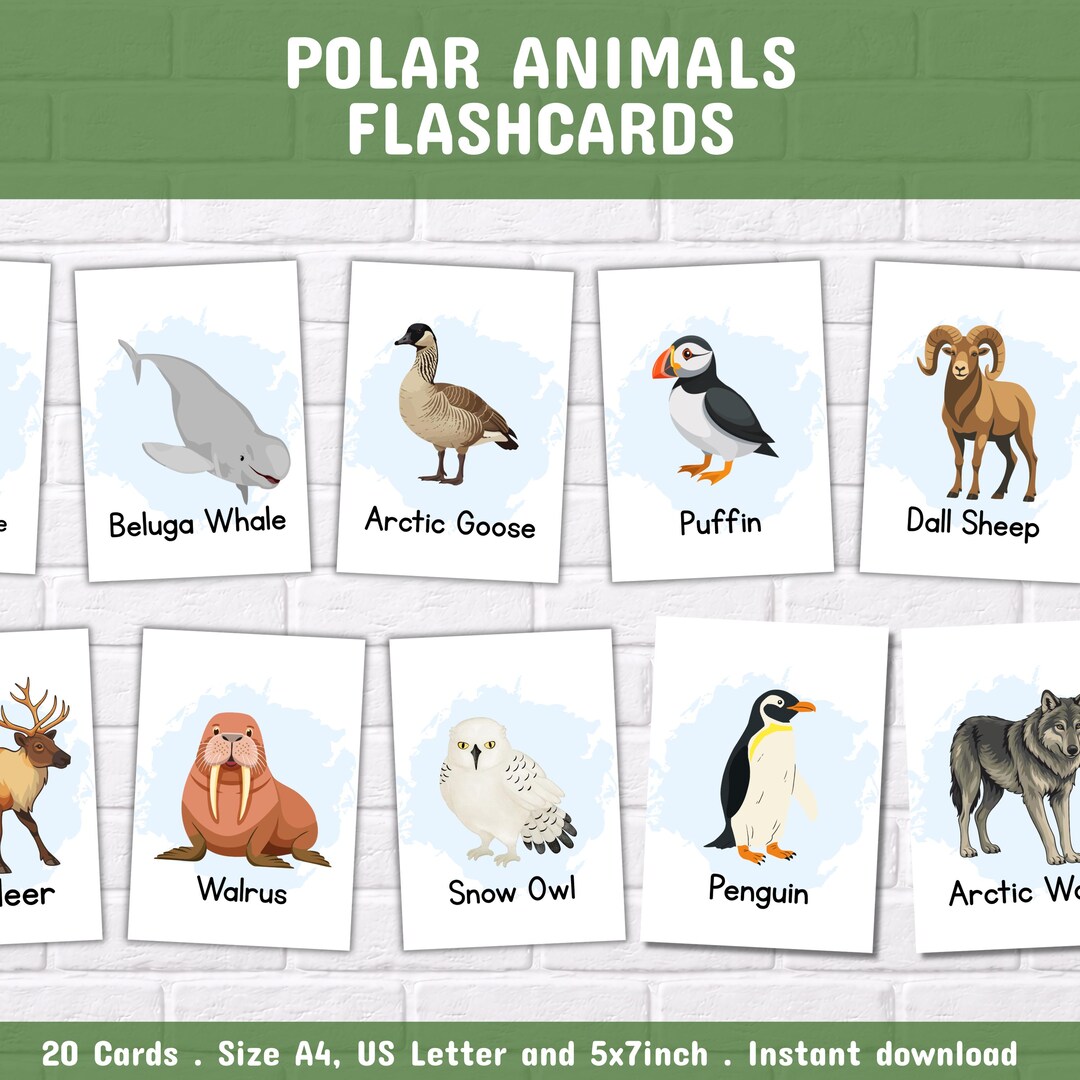 Polar Animals Flashcards for Kids, Printable Arctic Montessori Cards ...