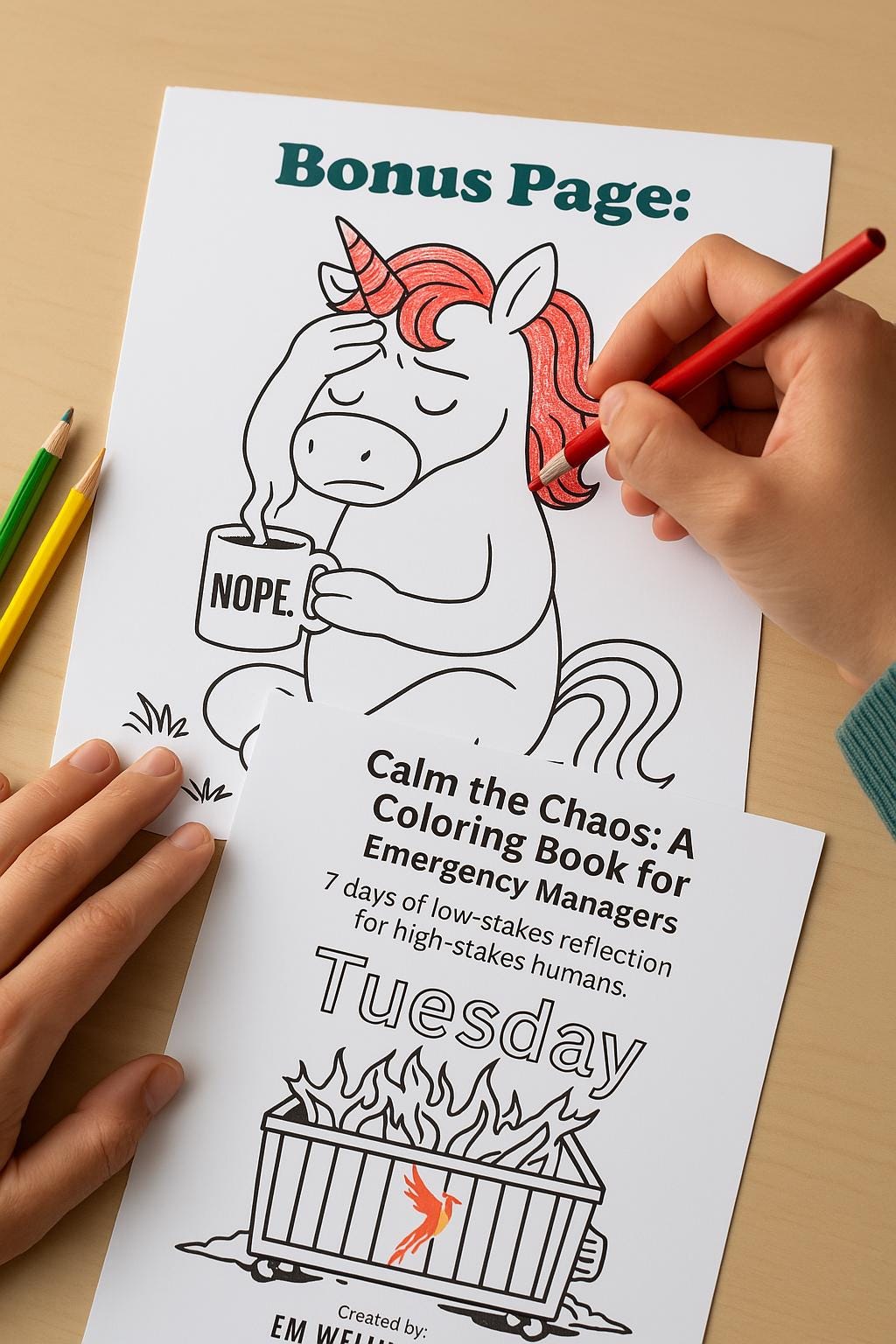 Calm the Chaos: A Coloring Book + Reflection Prompts for Emergency ...