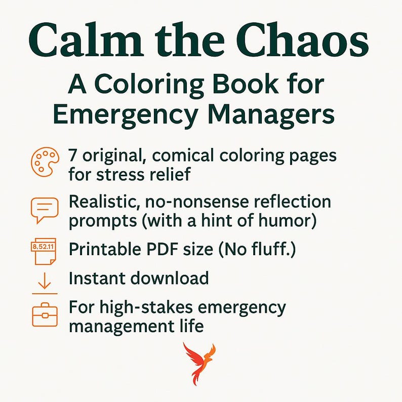 Calm the Chaos: A Coloring Book + Reflection Prompts for Emergency ...