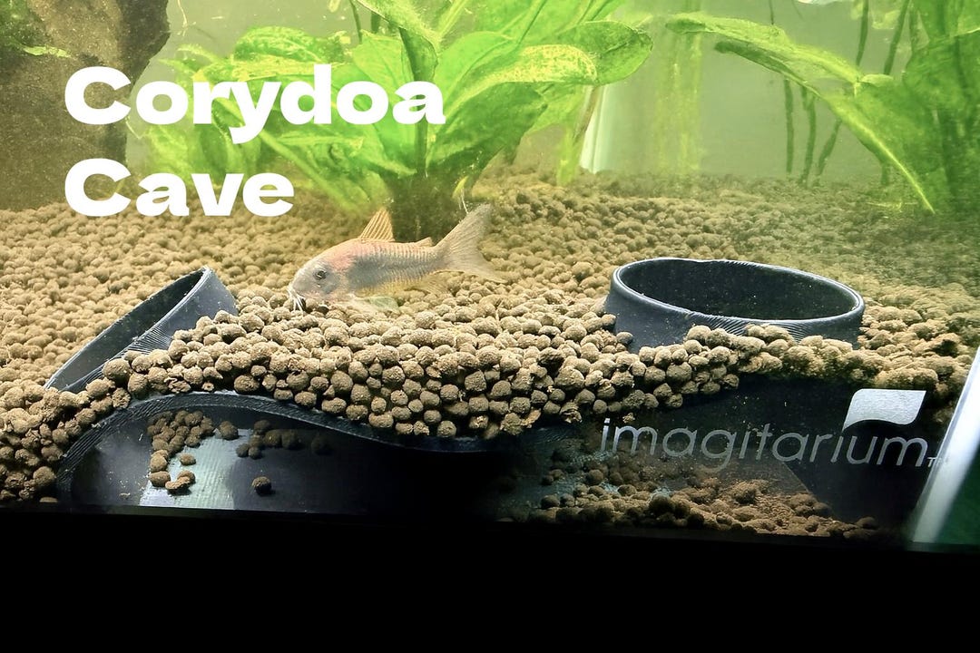 Corydora Catfish Cave Hide | Dual Entrance Bottom Dweller Shelter ...