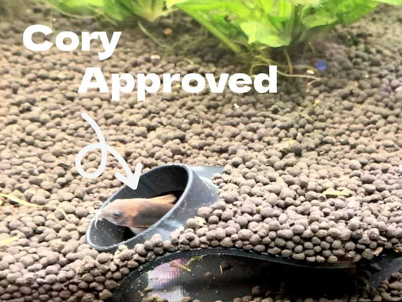 Corydora Catfish Cave Hide | Dual Entrance Bottom Dweller Shelter ...