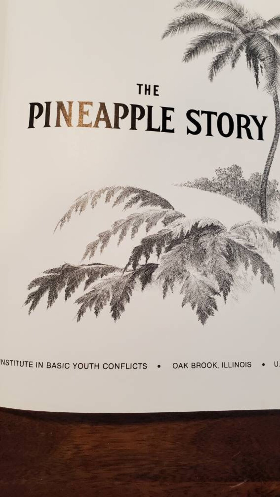 The Pineapple Story Book Vintage Book Spiritual Guidance - Etsy