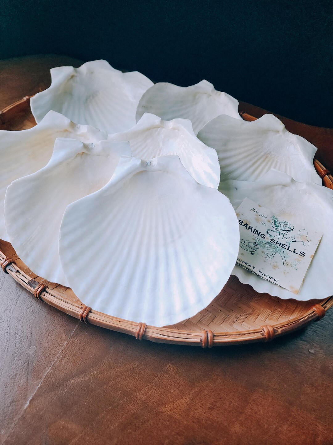 Vintage Baking Clam Shells, Set of 8 Natural Seashells, Paul Marshall ...