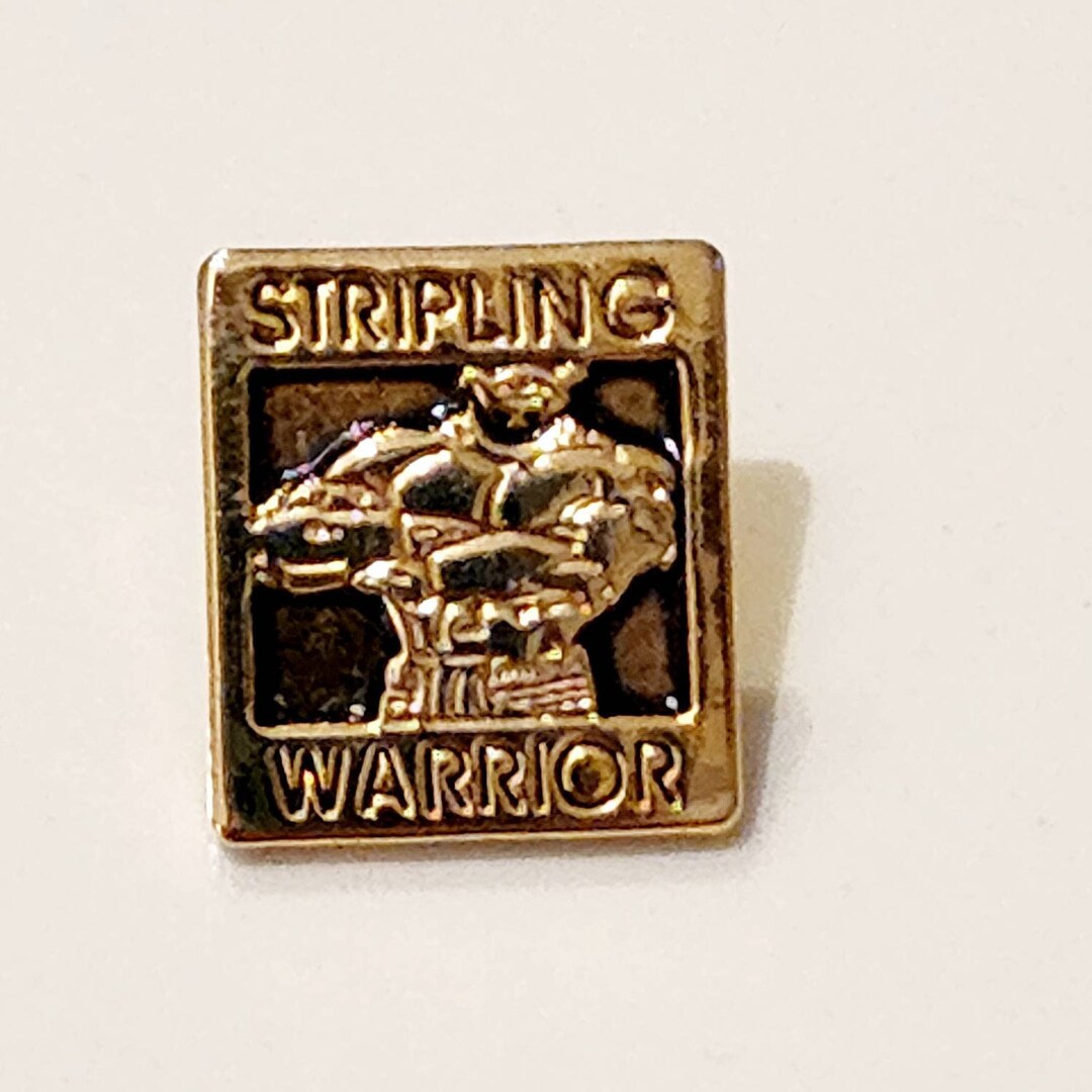 Vintage Warrior Church Men, Stripling Warriors Lapel Pin, LDS Church ...