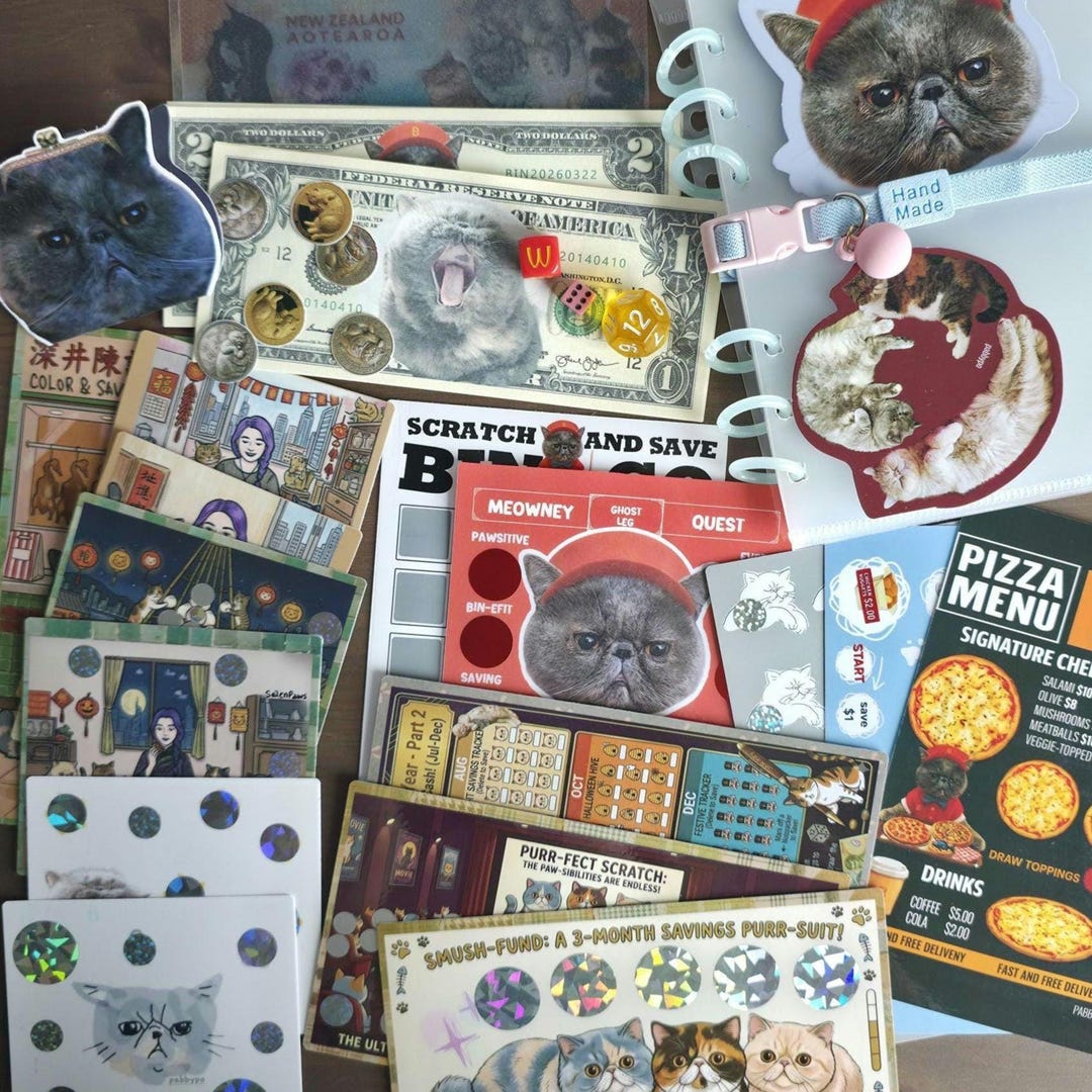 Interactive Cat Savings Challenge Bundle | Hand-laminated Budgeting ...