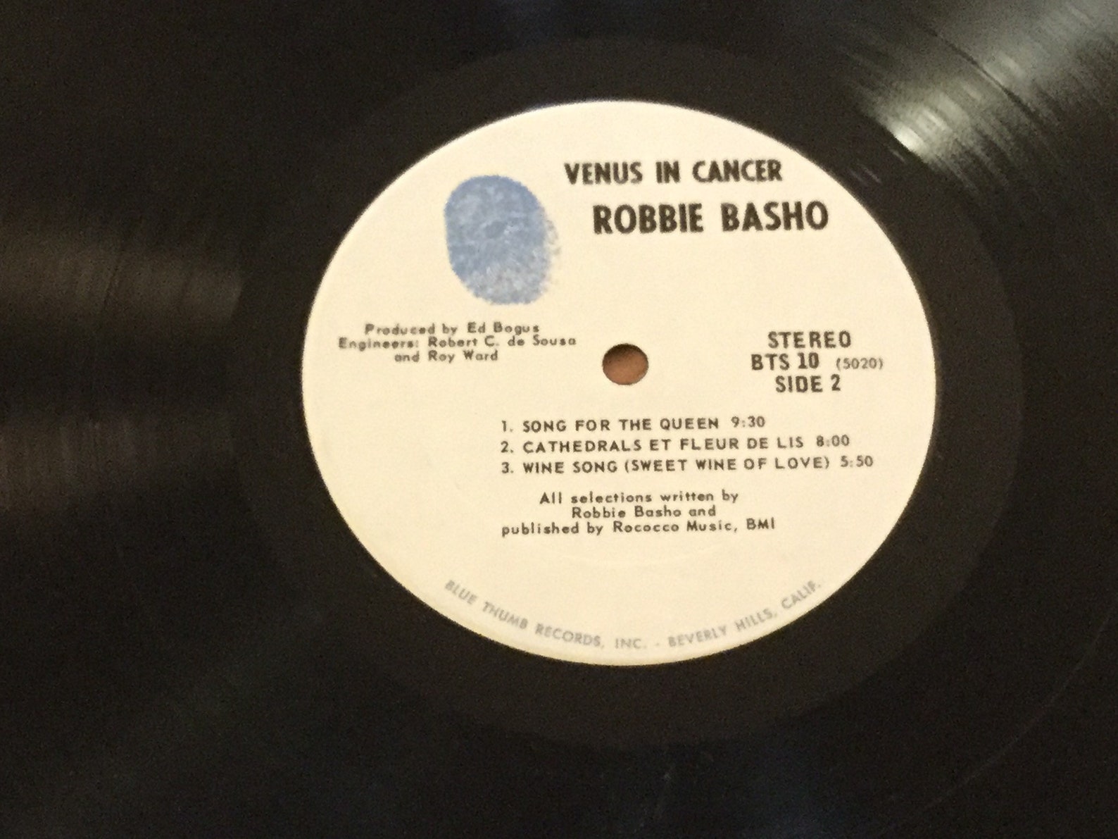 Robbie Basho Venus in Cancer on Original Blue Thumb Records - Etsy
