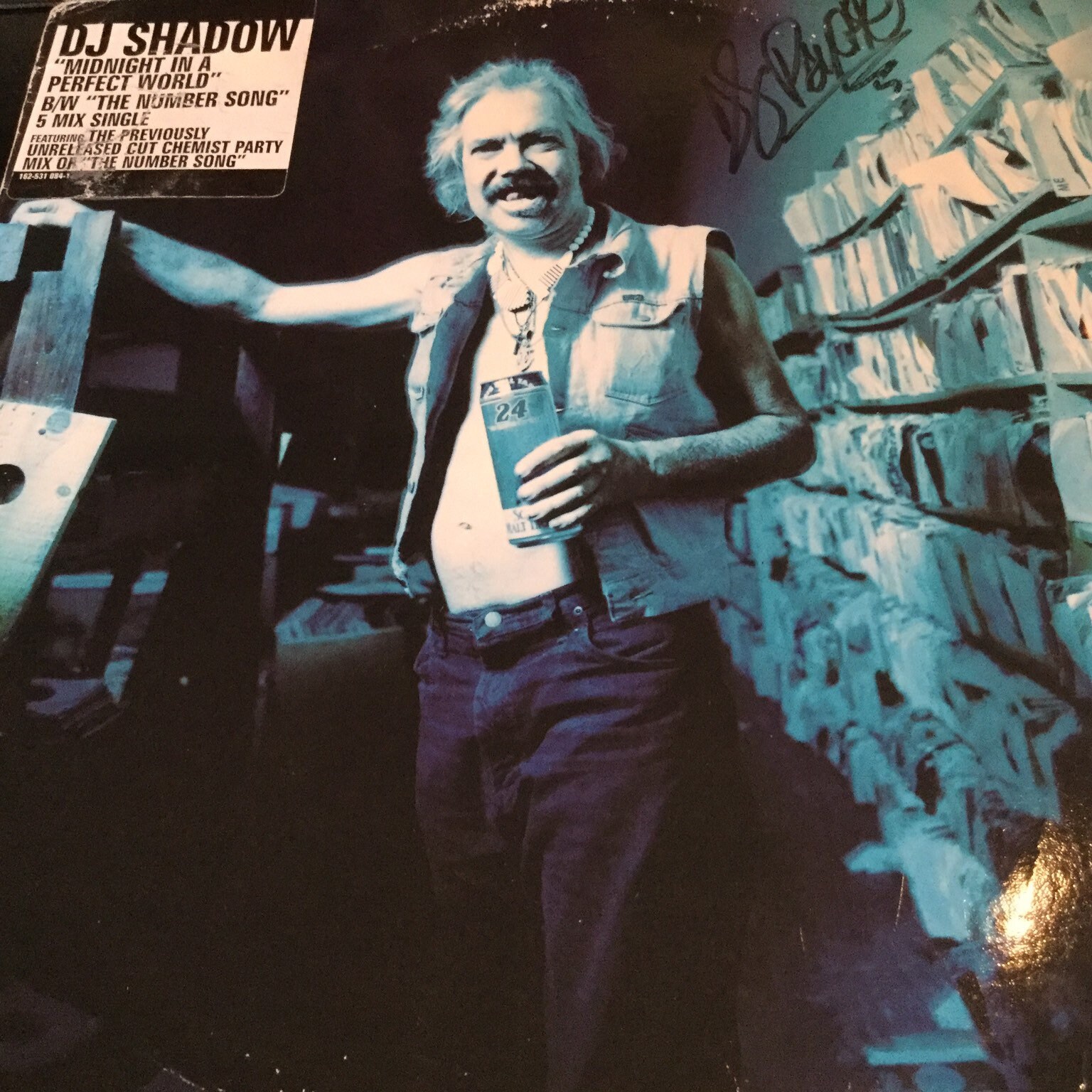 DJ Shadow Midnight In A Perfect World bw The Number Song 5 Mix | Etsy