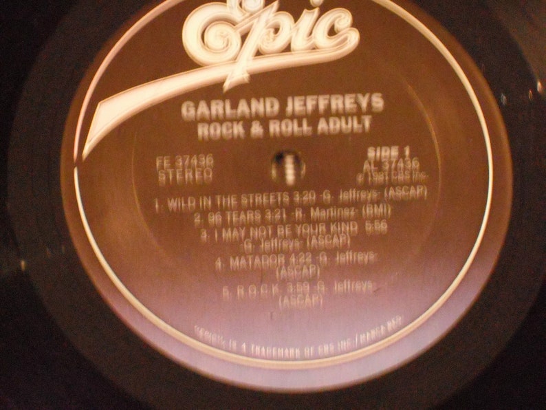 Garland Jeffreys Rock and Roll Adult 1981 on Epic Records - Etsy