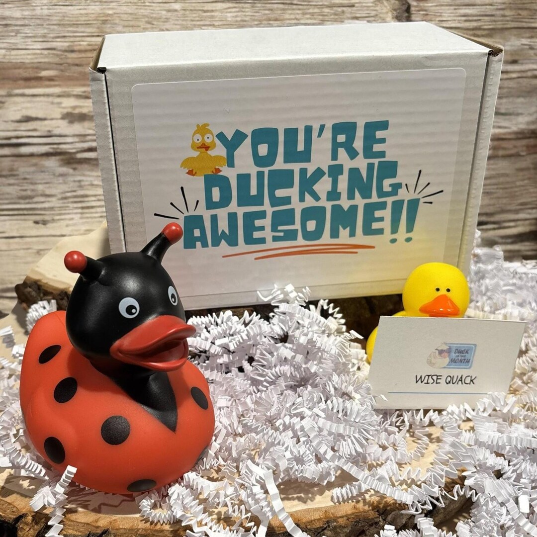 Ladybug Rubber Duck Gift Box – Cute Bug Duck, Garden Lover Gift, Spring ...