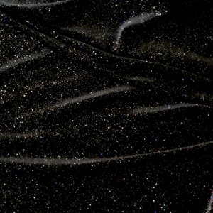 Black Glitter High Waisted Velvet Shorts Hot Pants Party Disco - Etsy