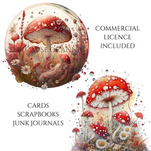 Fairy Toadstools Clip Art Bundle, Red Mushrooms Clipart Set, Floral ...