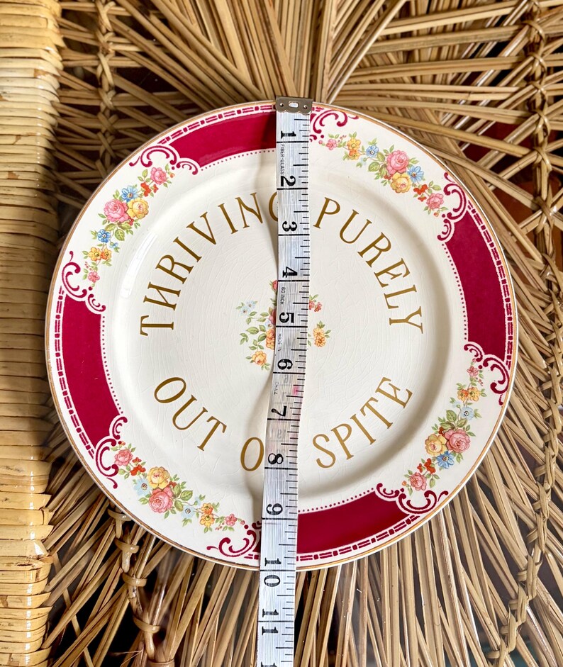 Thriving Purely Out of Spite | Vintage Plate Decor | Improper Plates ...