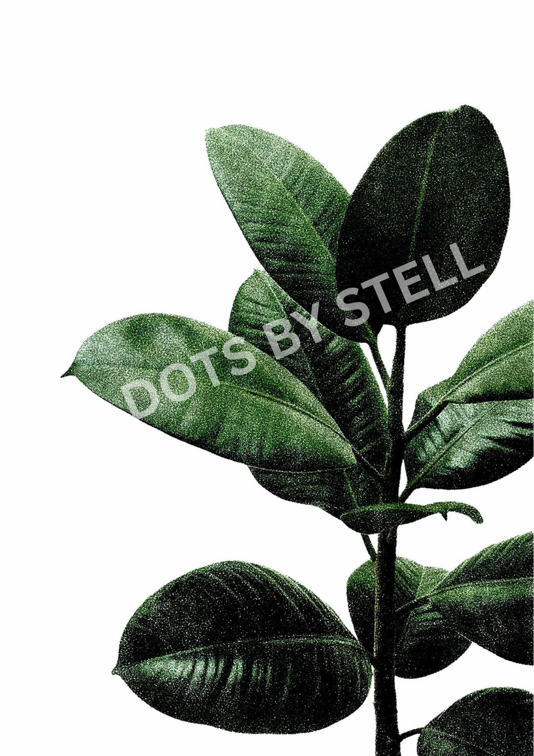 Rubber Plant/ficus Elastica Pointillism Art Print - White Background - Etsy