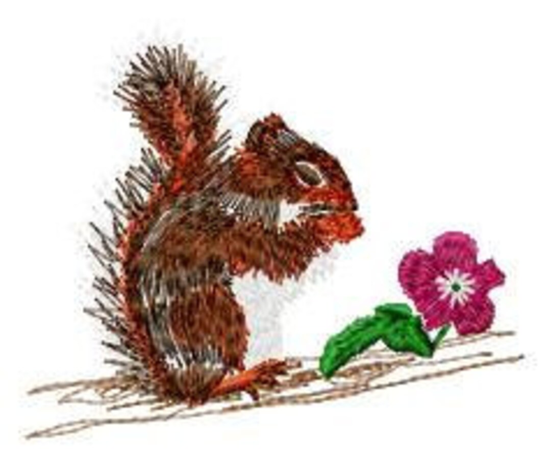 Squirrel Embroidery Design - Instant Download - Etsy