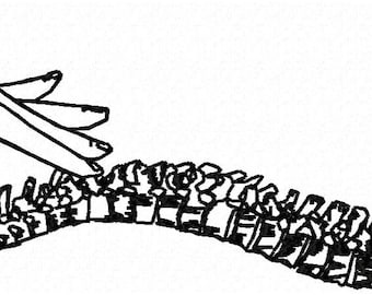 Chiropractic Embroidery Design Instant Download | Etsy