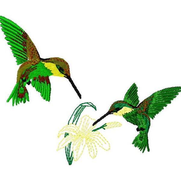 Hummingbird Machine Embroidery Design - Etsy