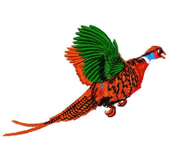 Pheasant Machine Embroidery Design Instant Download | Etsy
