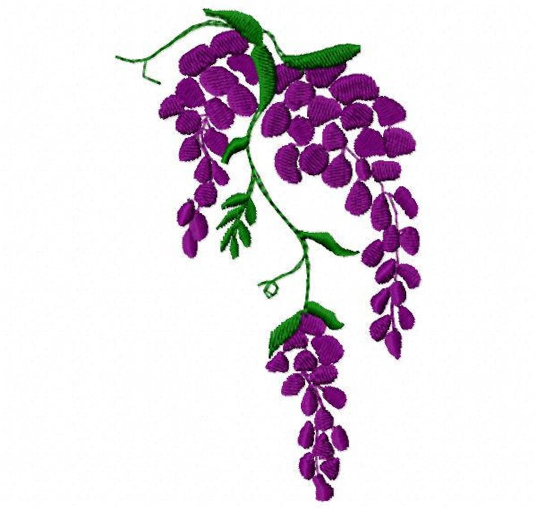 Grapes Embroidery Design - Instant Download - Etsy