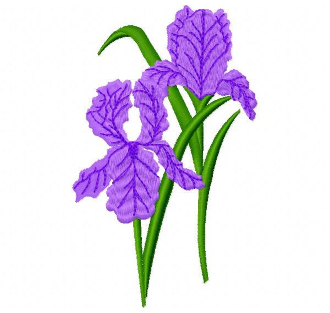 Iris Embroidery Design Instant Download | Etsy
