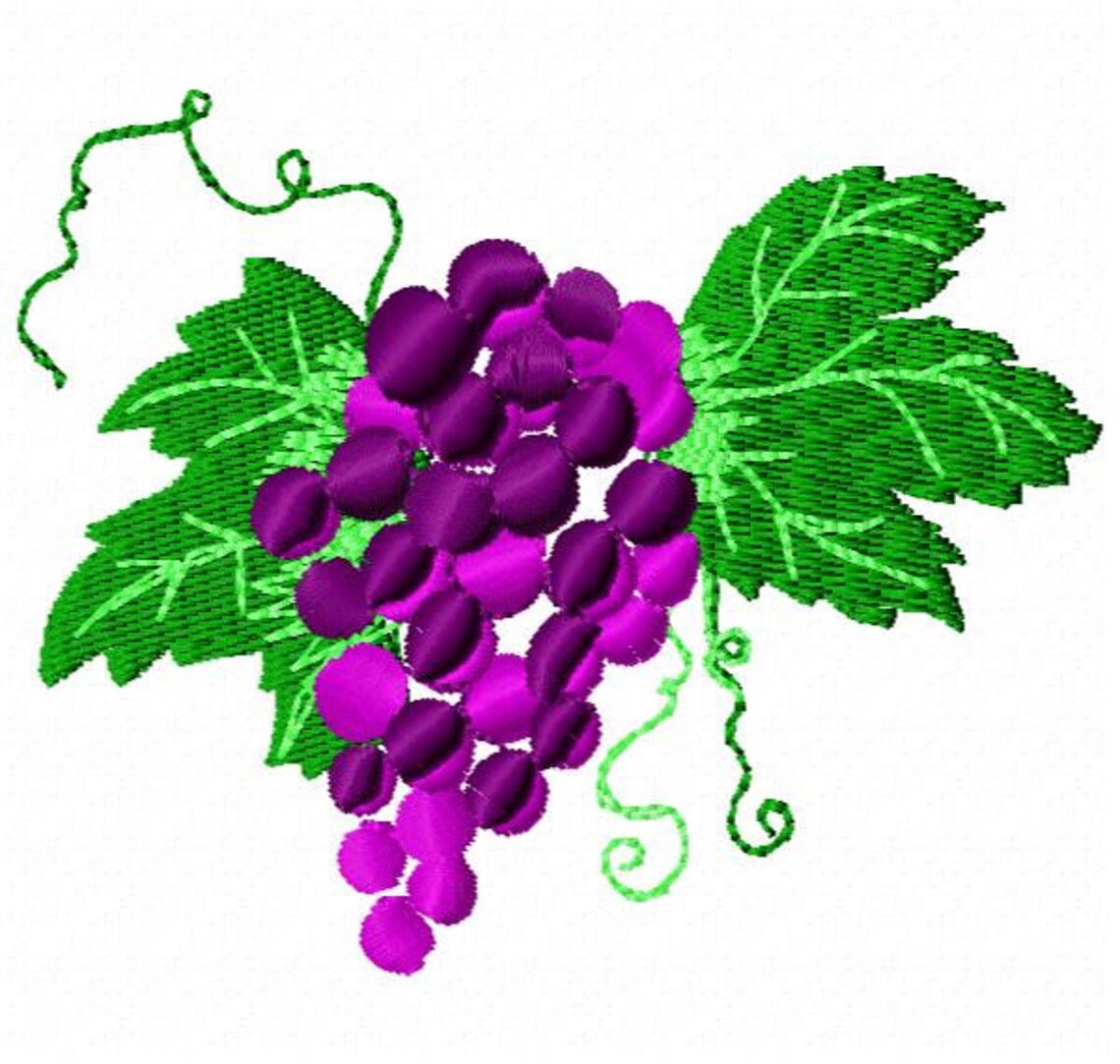 Grapes Embroidery Design Instant Download - Etsy