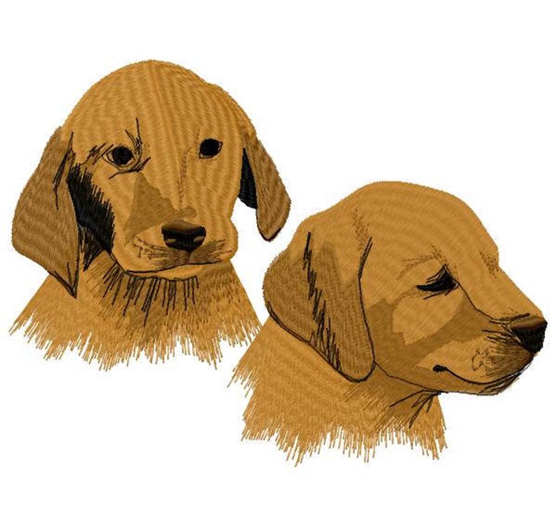 2 Lab Dogs Machine Embroidery Design Instant Download - Etsy