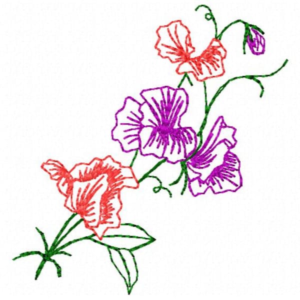 Sweet Pea Embroidery Pattern - Etsy