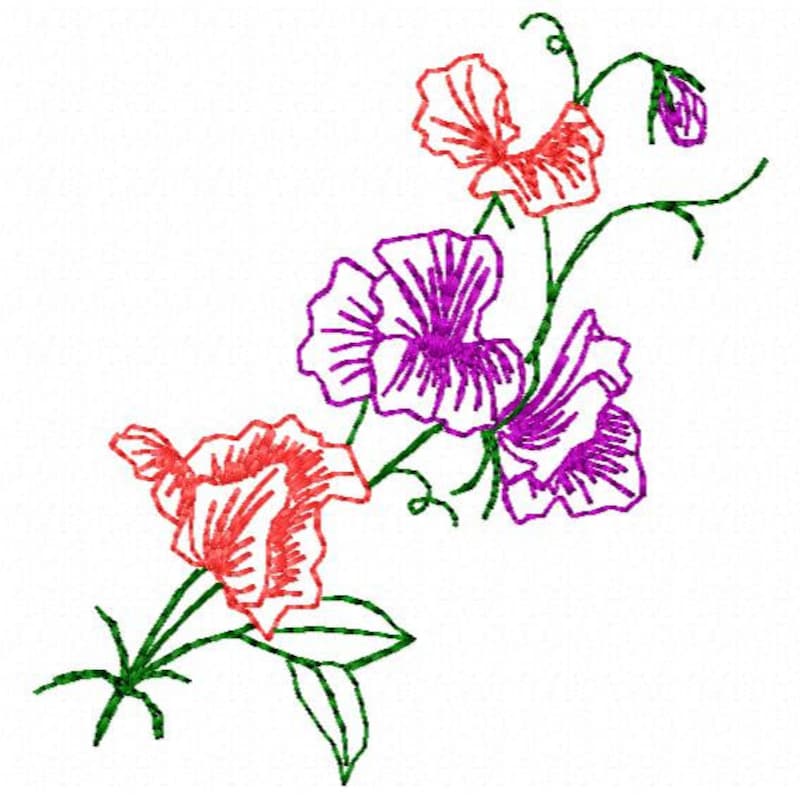 Sweet Pea Machine Embroidery Design - Etsy