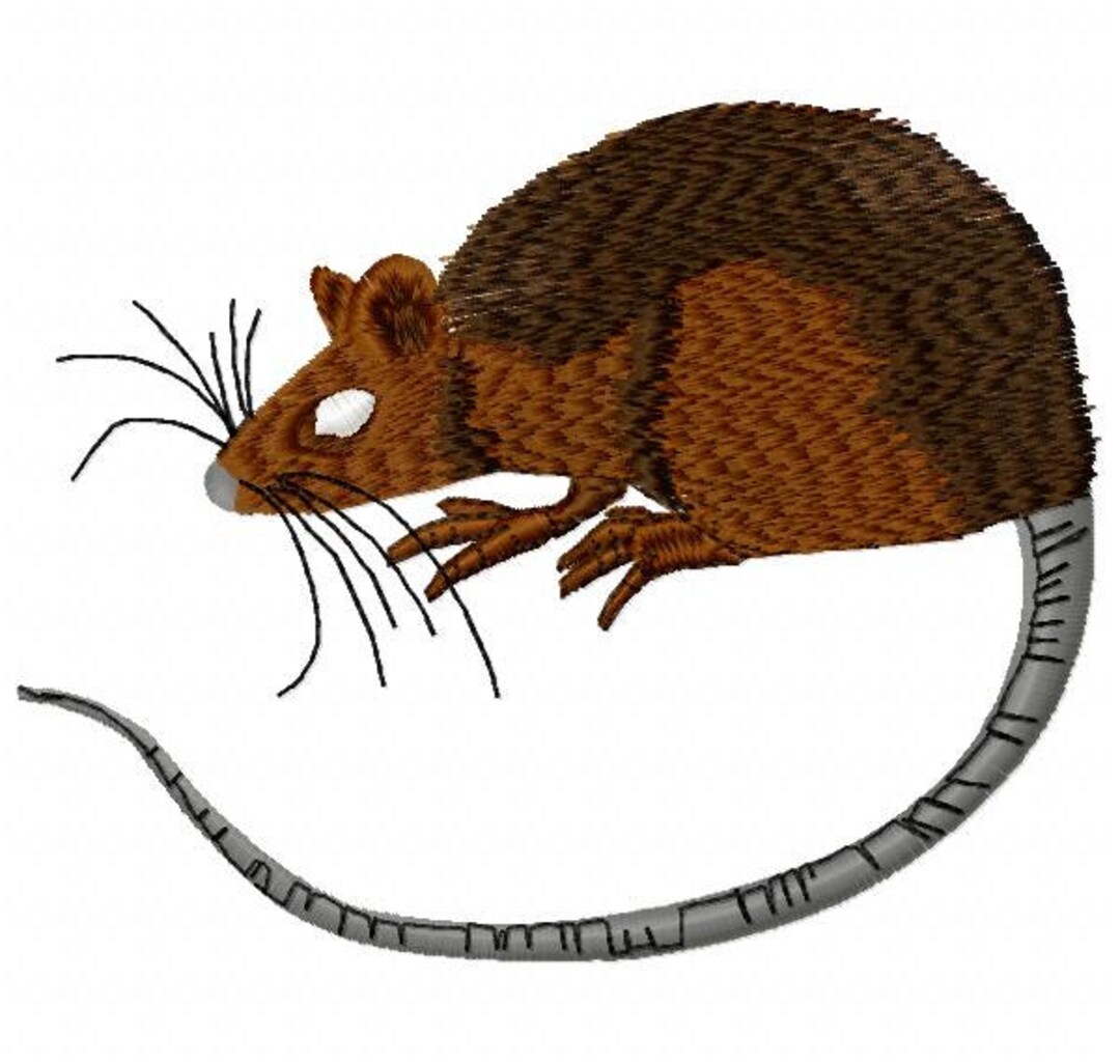 Rat Machine Embroidery Design - Instant Download - Etsy