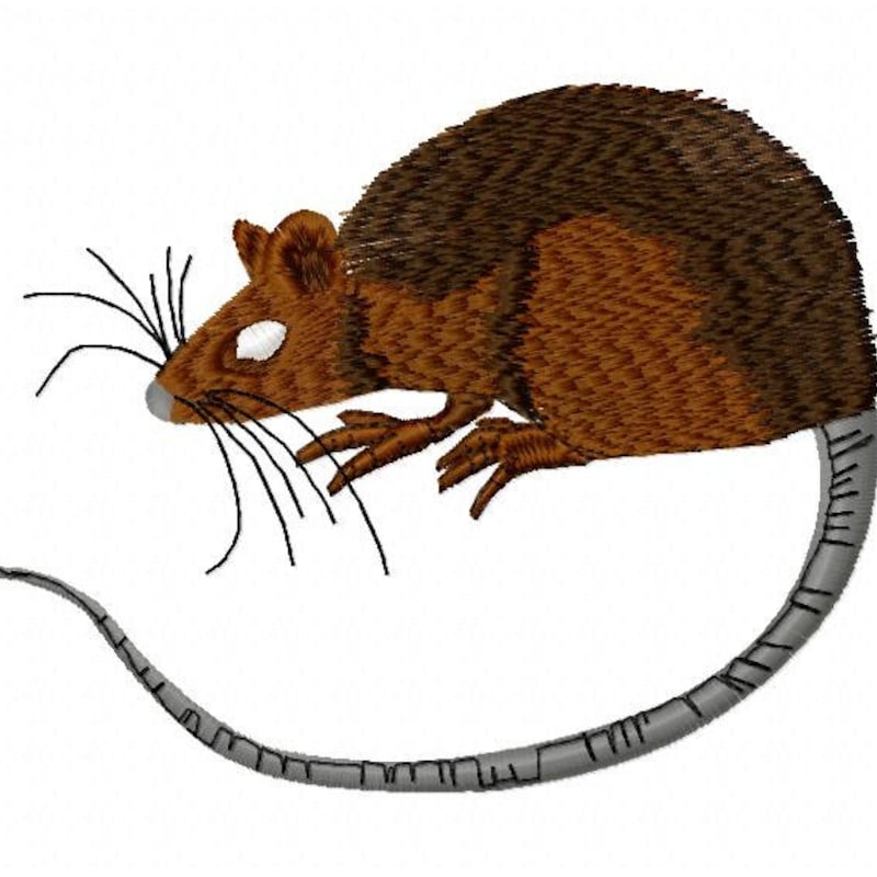 Rat Embroidery - Etsy