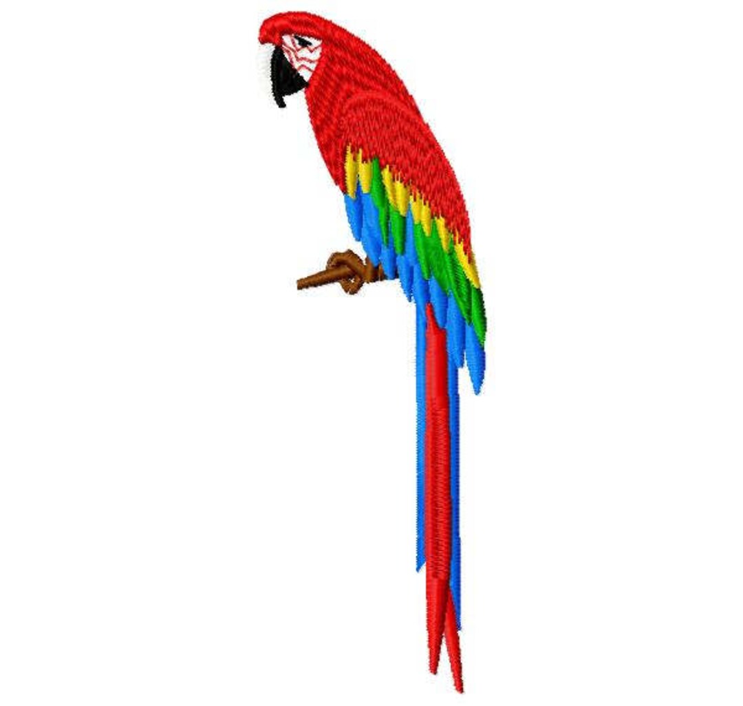 Parrot Machine Embroidery Design - Instant Download - Etsy