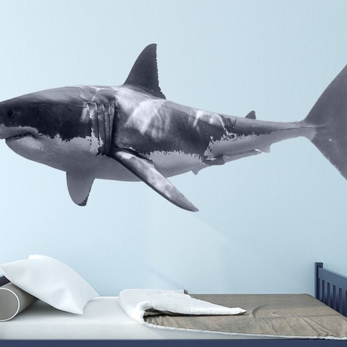 Shark Wall Decal Great White Shark Jaws Window Frame - Etsy