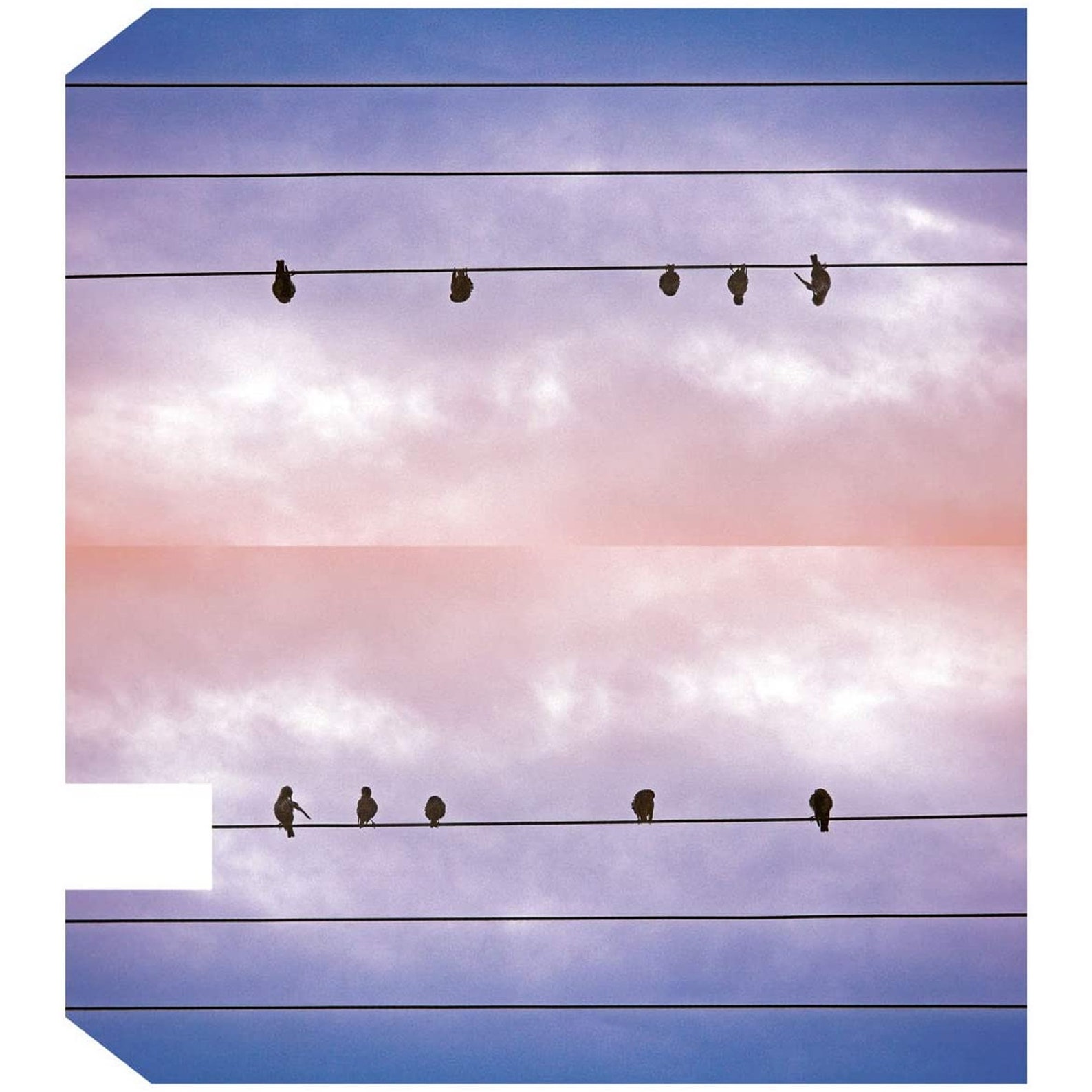Birds on Wire Mailbox Covers Magnetic Decorative Nature - Etsy