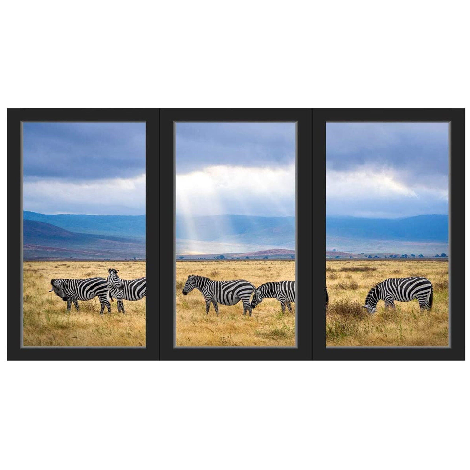 Zebra Wall Art Decal - 3D Office Window Safari Sticker African Savannah ...