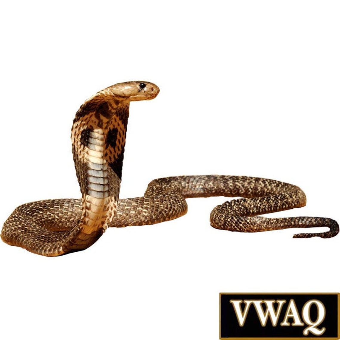 Snake Sticker Cobra Snake Wall Decal Peel and Stick Cobra - Etsy