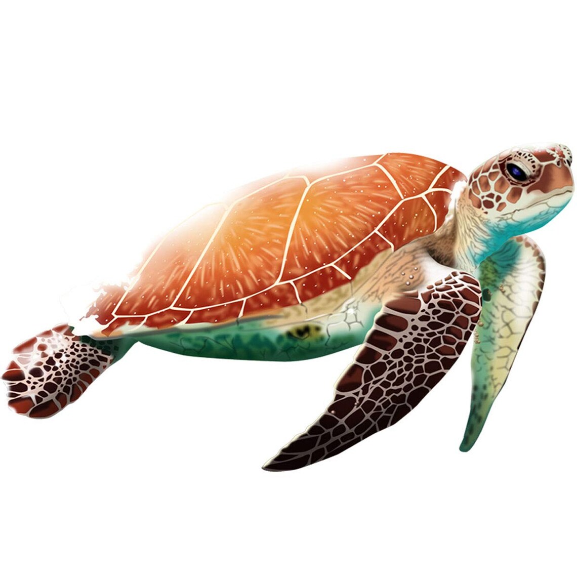Sea Turtle Vinyl Wall Sticker Decal for Kids Rooms - Ocean Theme Decor ...