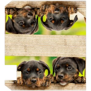 Puppy Dog Mailbox Covers Magnetic Cute Animal Decor - VWAQ MBM43 - Etsy ...