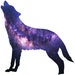Galaxy Wolf Howling Wall Decal Space Sticker Bedroom Decor VWAQ SC16 - Etsy