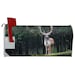 Deer Mailbox Covers Magnetic Wilderness Animals Decor - VWAQ MBM42 - Etsy