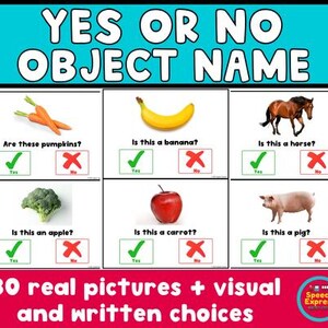 Yes or No Questions Object Name Real Pictures Speech Therapy Printable ...