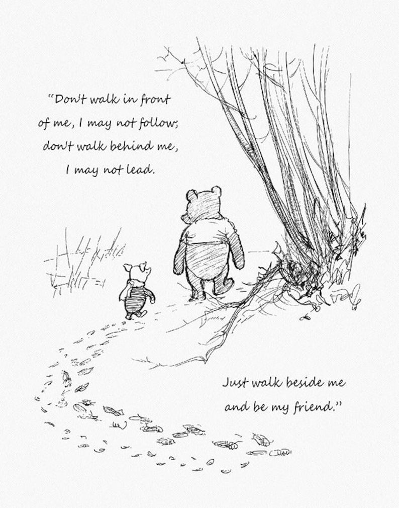 Don't Walk in Front I May Not Follow Quote, Just Walk Beside Me Quote ...